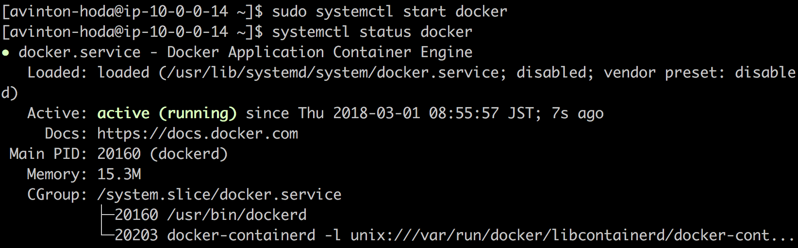 DockerとApacheを使ってWebサーバーを構築しよう - Avinton Japan
