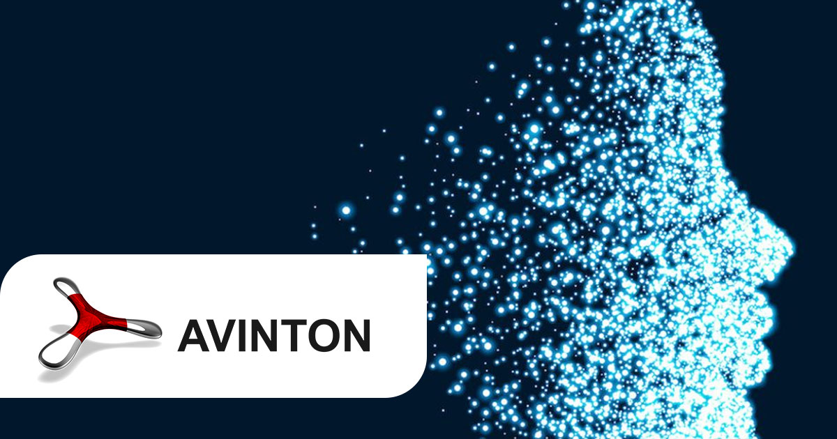 Tailored Solutions in Big Data, AI and Machine Vision - Avinton Japan
