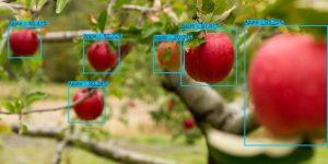 How Is AI Transforming the Farming Industry? - Smart Agriculture