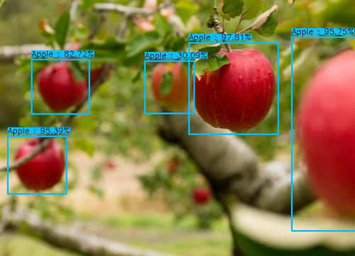 Real-Time Image Analysis - Avinton Edge AI Camera