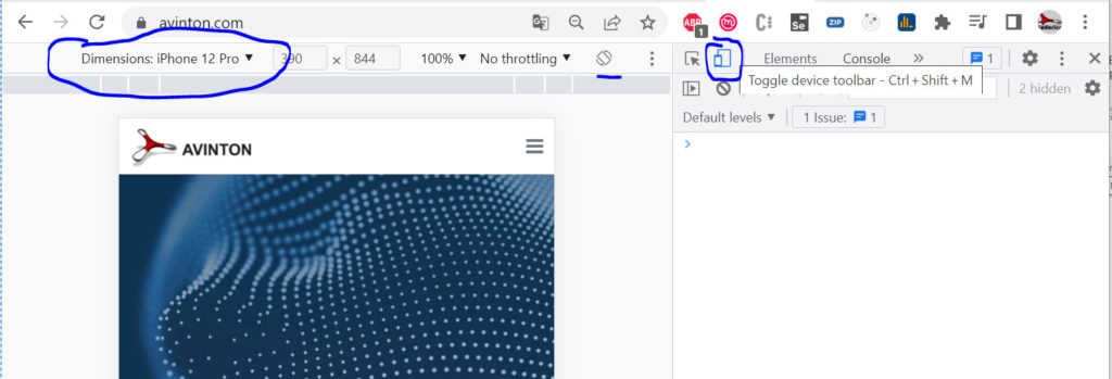 Google Chrome DevTools Basics for Web App Development - Avinton Japan